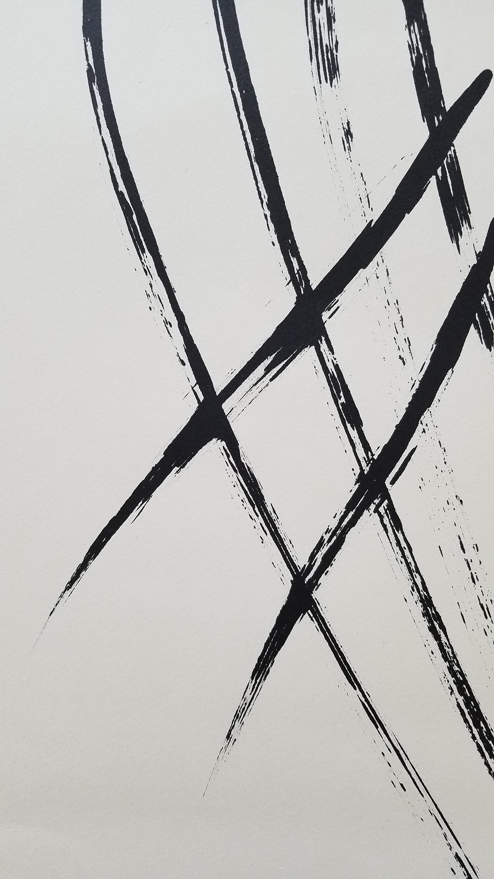 Efflorescent by Toko Shinoda Abstract Japanese Lithograph Print Sumi-e