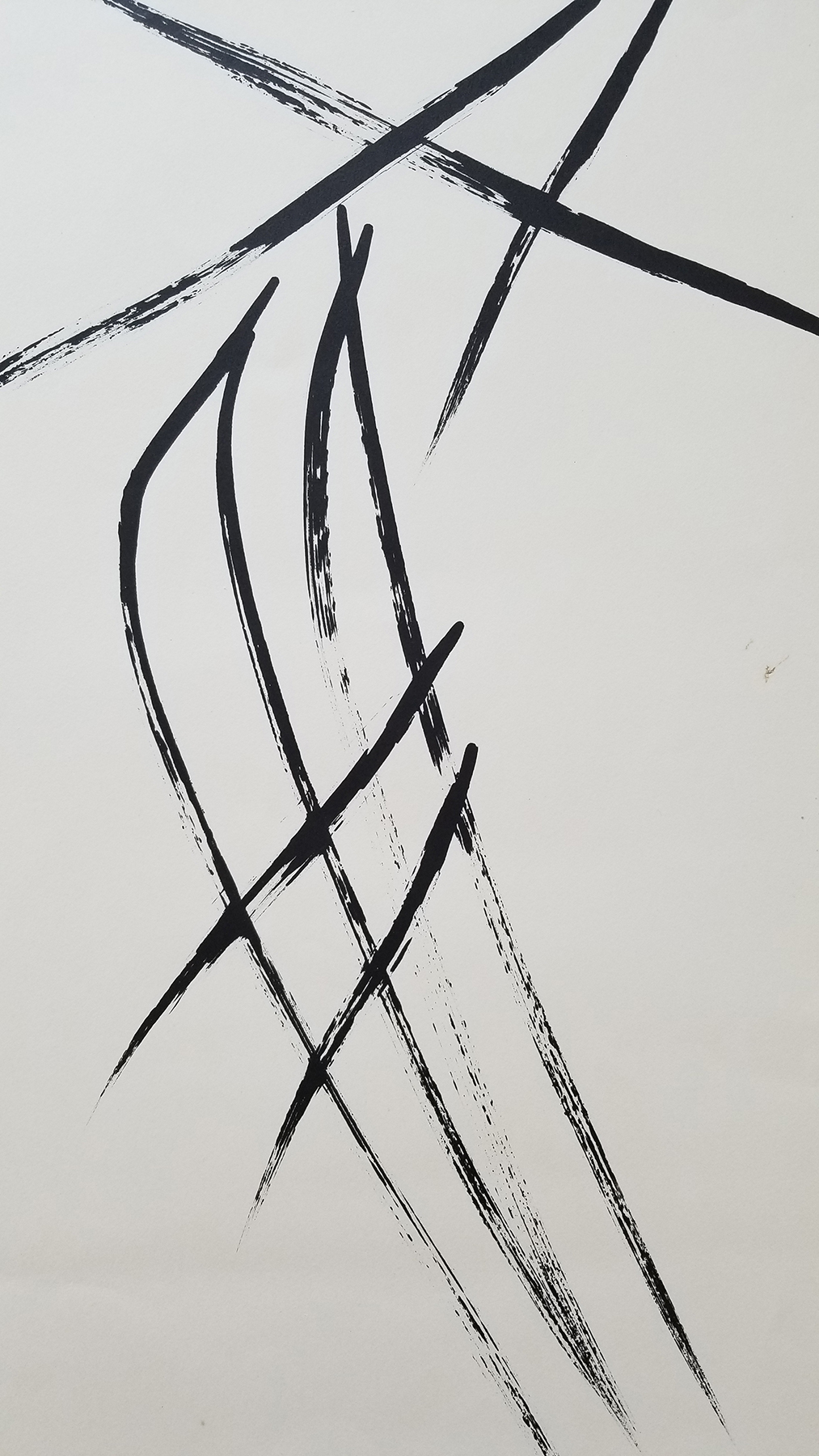 Efflorescent by Toko Shinoda Abstract Japanese Lithograph Print Sumi-e